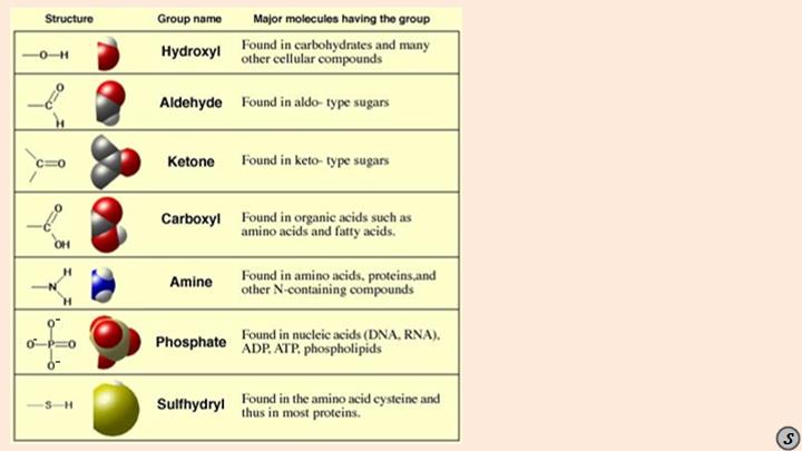Functional Groups Biology